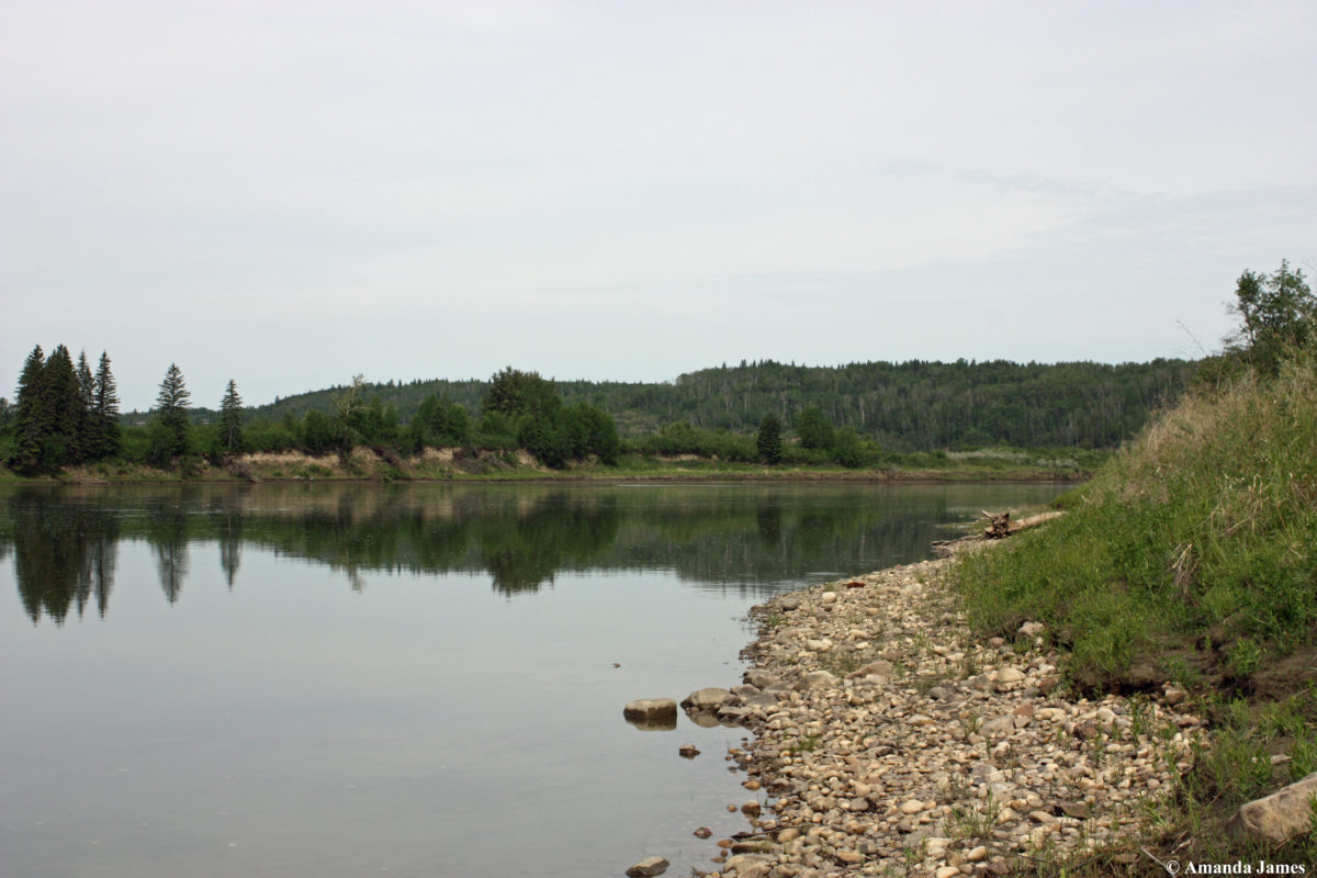 Gallery - CottonTail Corner